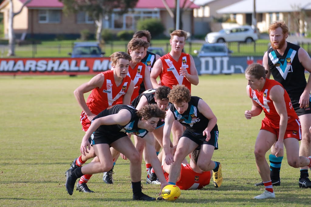 Home - Albany Sharks Football