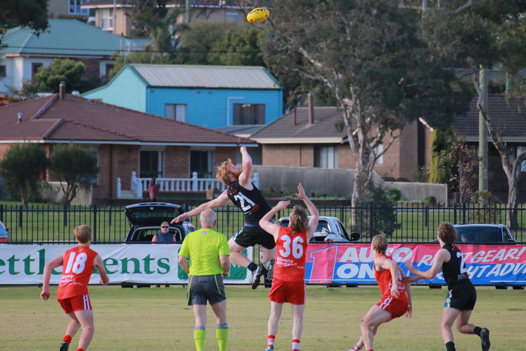 Home - Albany Sharks Football