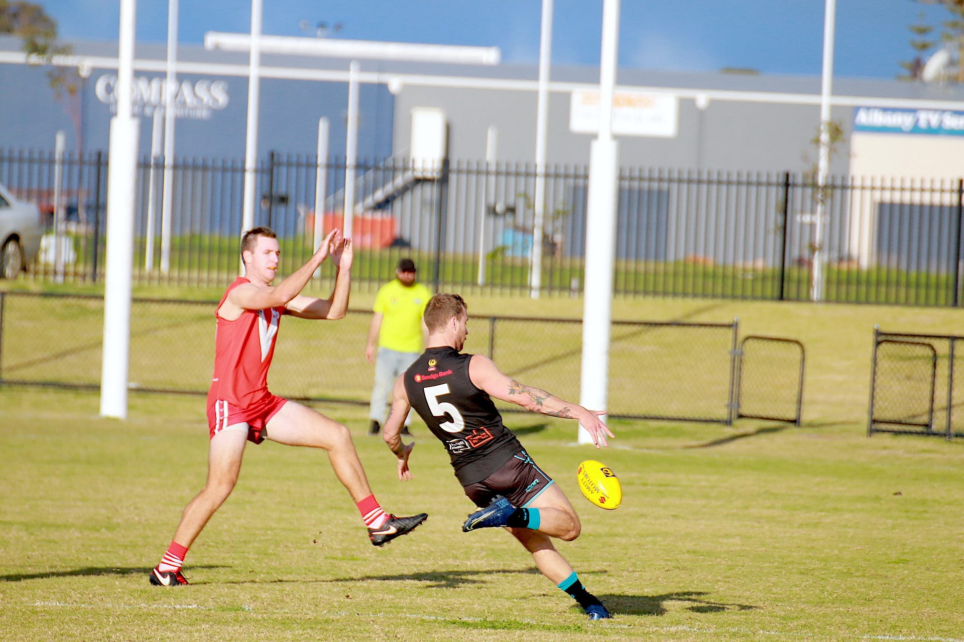 About - Albany Sharks Football